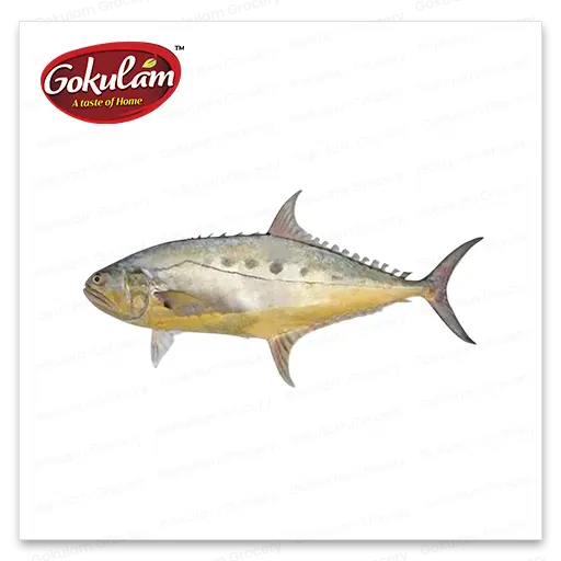 GOLD FISH-Queen Fish-1 Kg | Gokulam Stores